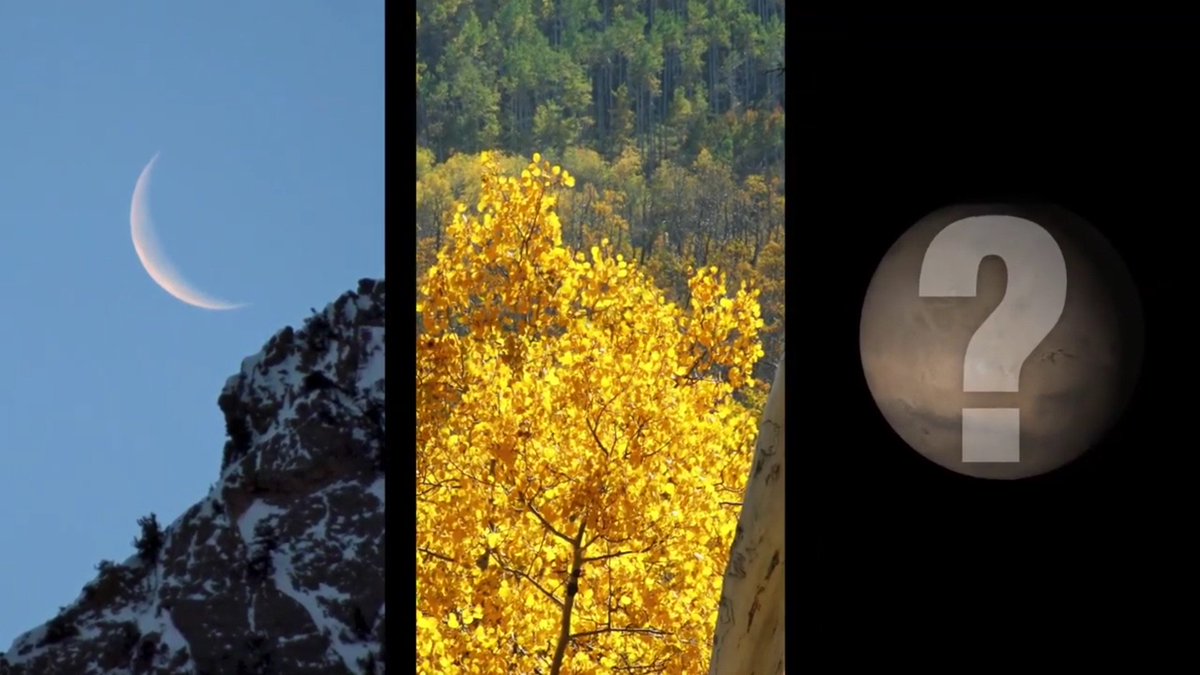 Christa Speck Playboy : Christa Speck Playboy | VintagePhotos | Scoopnest