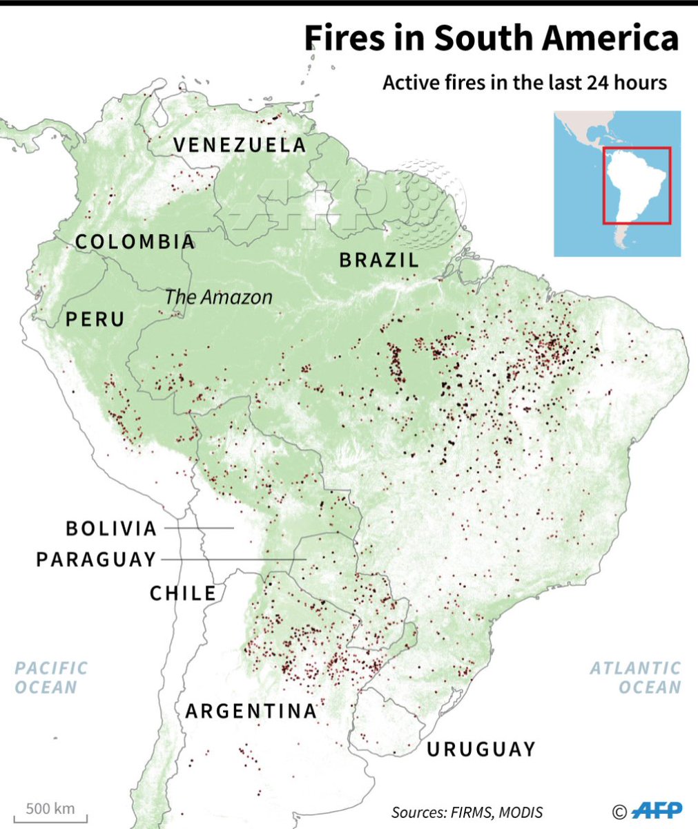 A Thread from @AFP: "🇧🇷 A 60-day ban on burning in Brazil takes effect ...