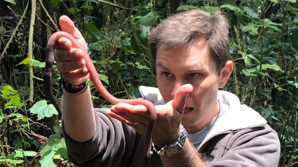 Giant African Earthworm