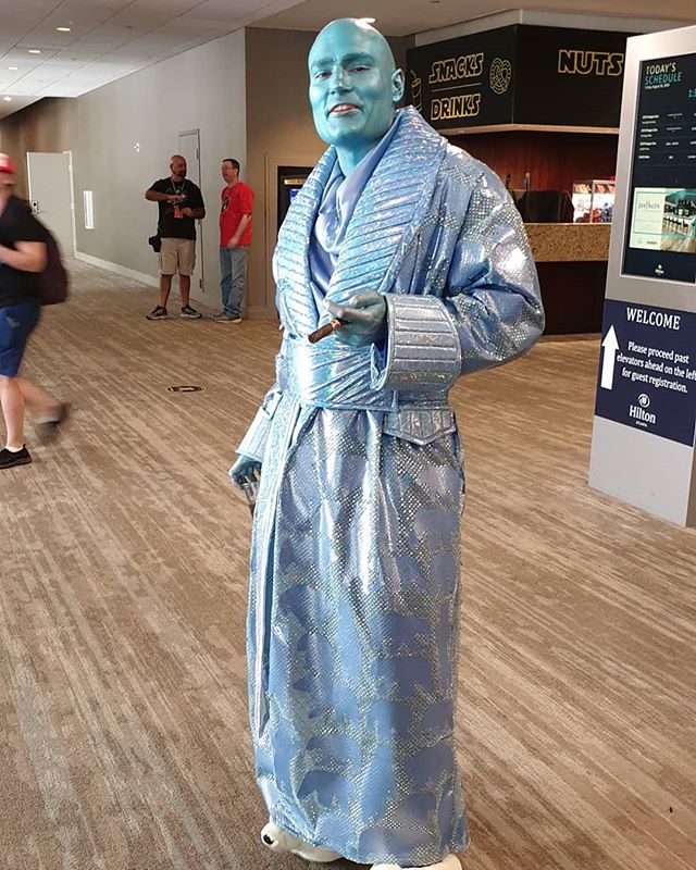 Mr Freeze Costume For Adults