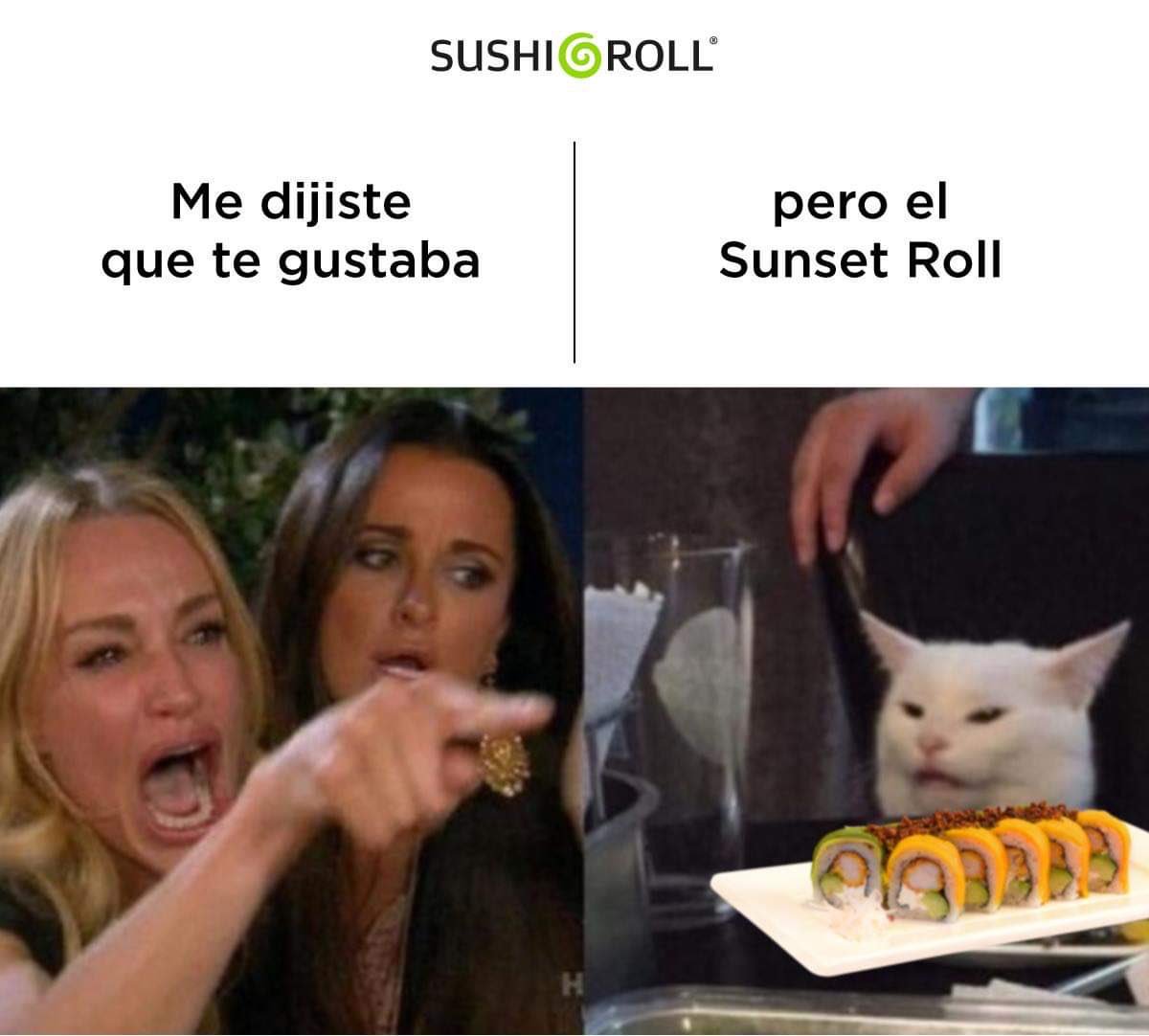 Gato Sushi Meme