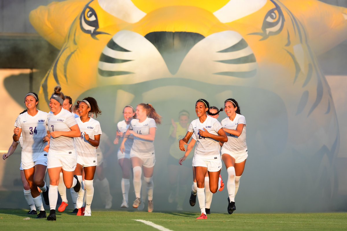 Here Come The Tigers | Tiger Rant