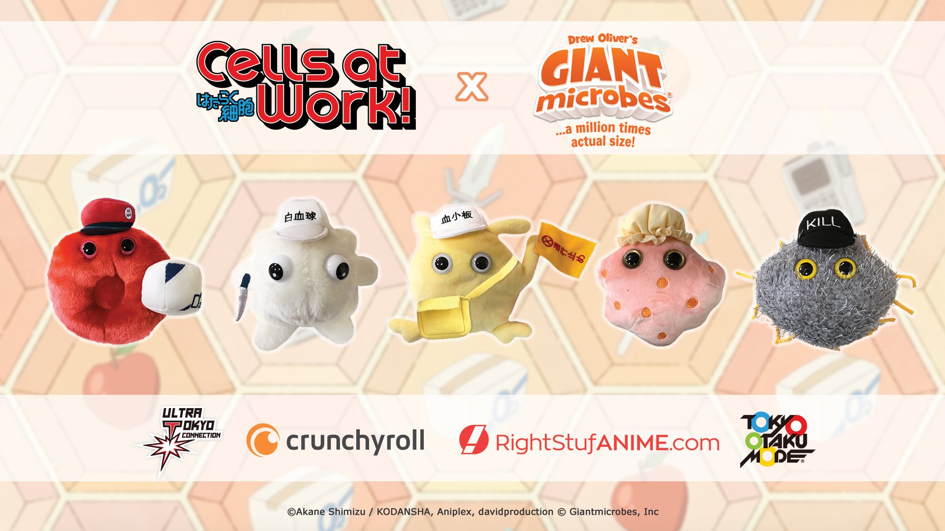 Cells At Work! X GIANTmicrobes White Blood Cell Plush | atelier-yuwa ...