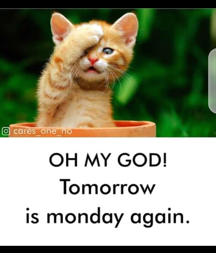 Oh No Monday Again