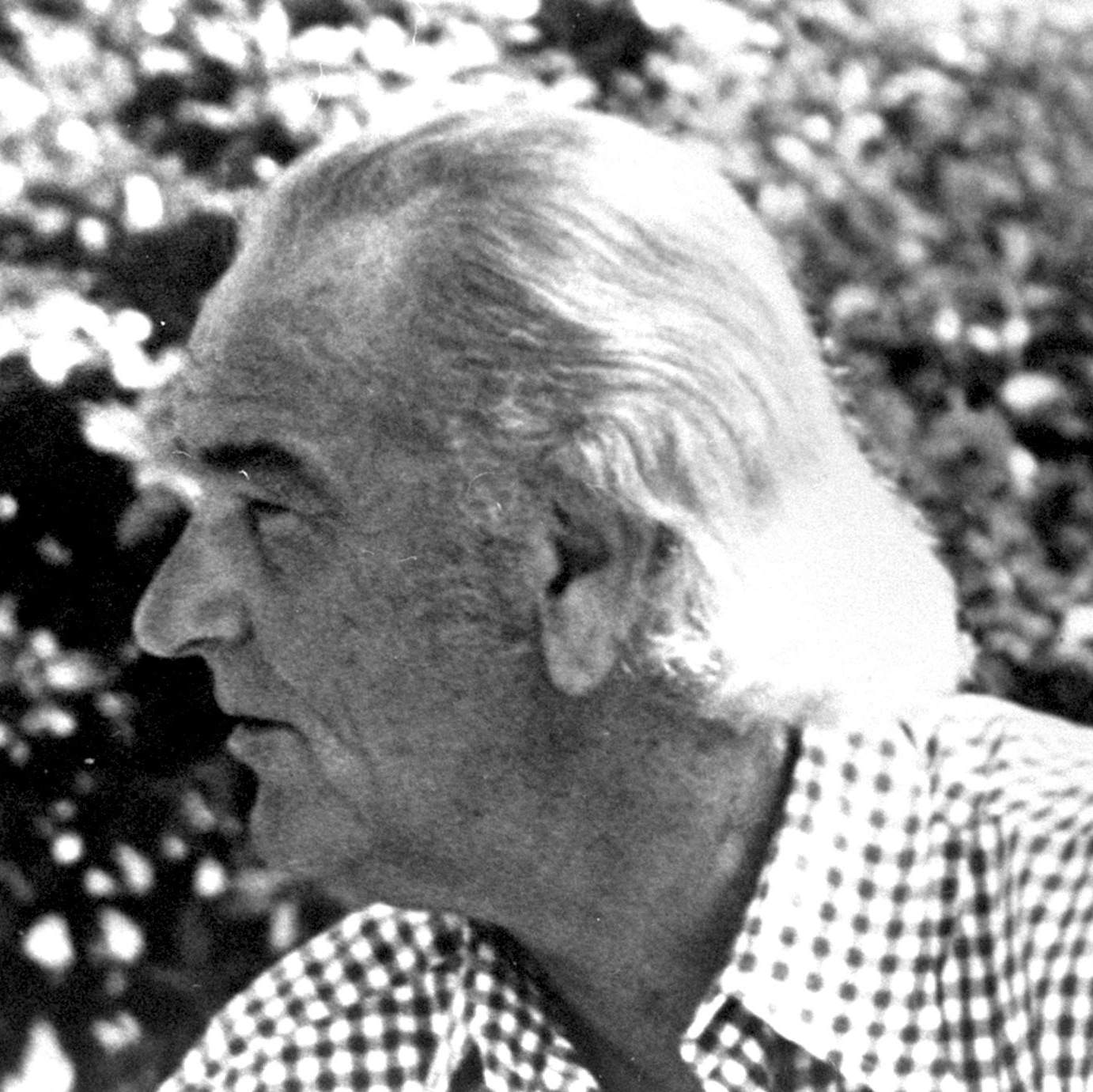 Lyndon Johnson Long Hair