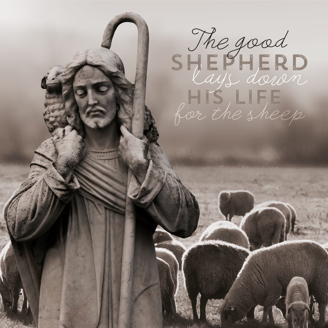 Jesus The Good Shepherd Quotes Good Shepherd Sunday