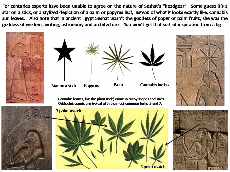 Ancient Egyptian Goddesses Seshat