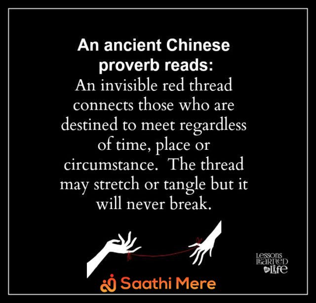 Flexibility Chinese Proverbs Chinese Proverbs || 9 Useful Sayings To