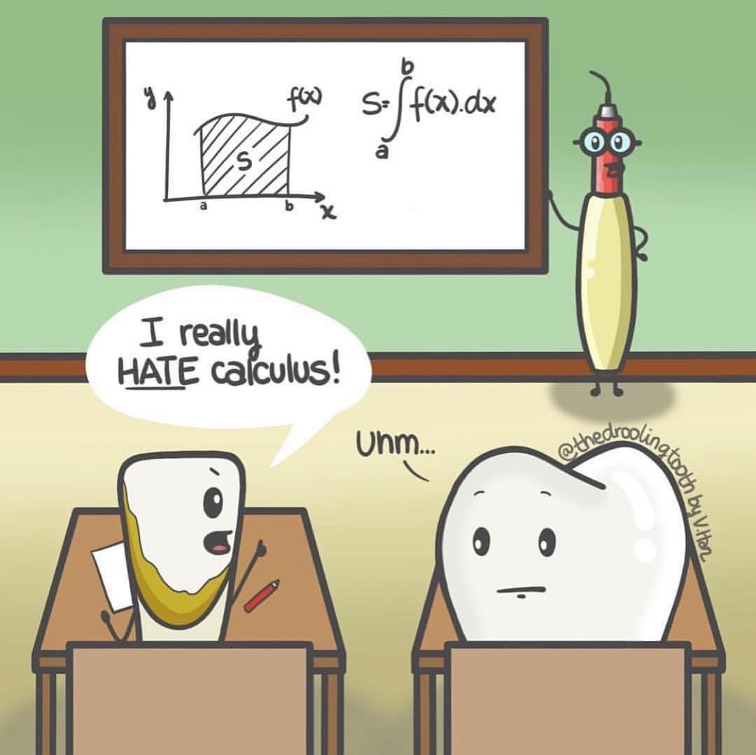 Calculus Integral Cartoons