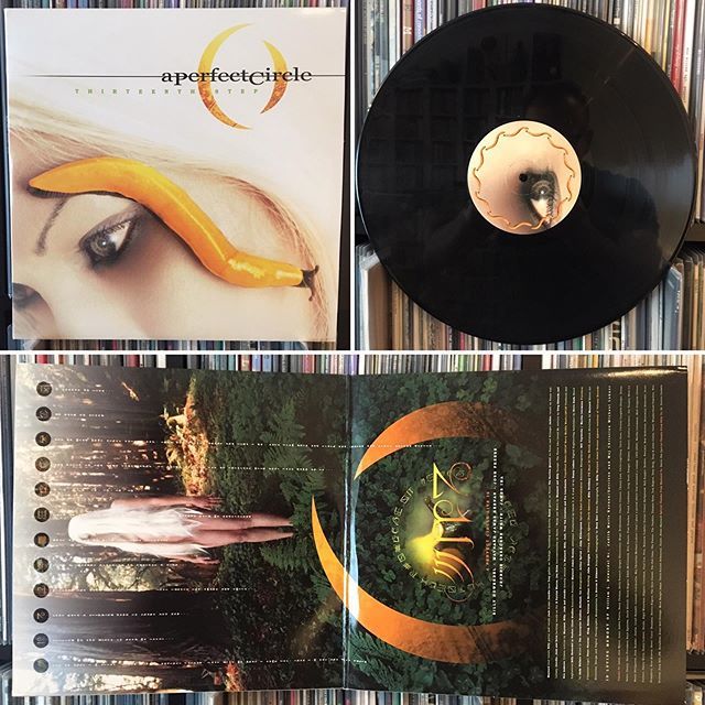 A Perfect Circle Thirteenth Step