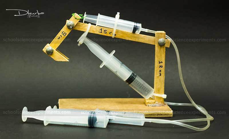 School Project Ideas