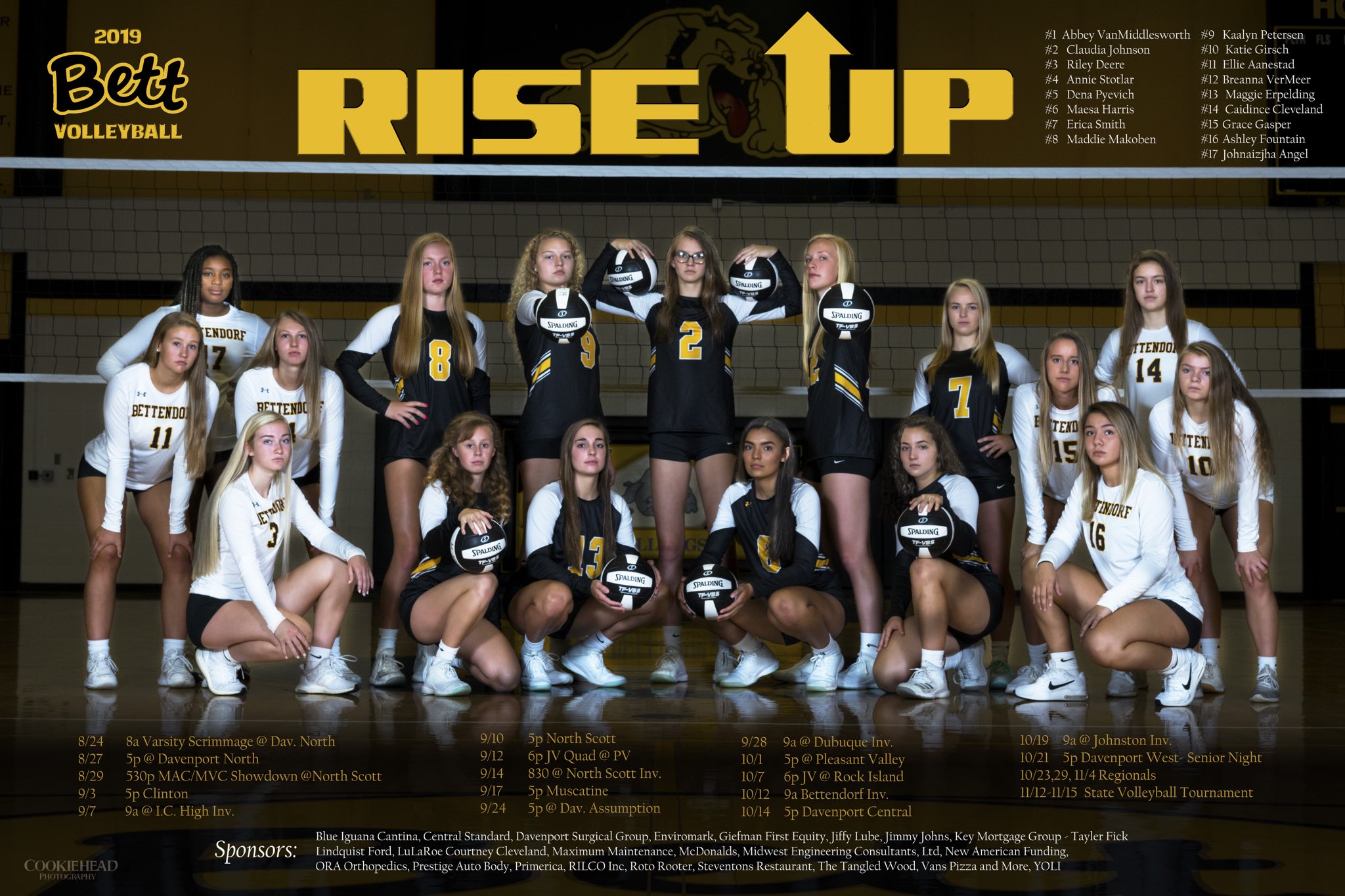 Volleyball Team Posters