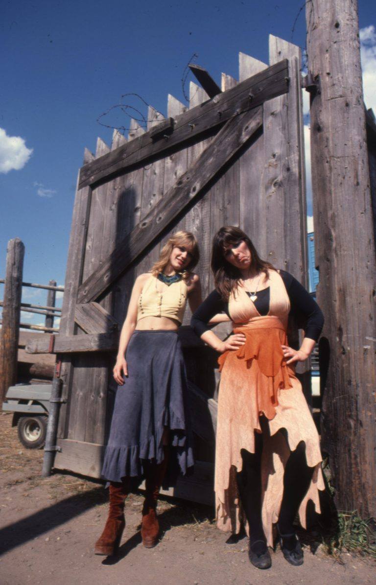 Ann Wilson Heart 70s