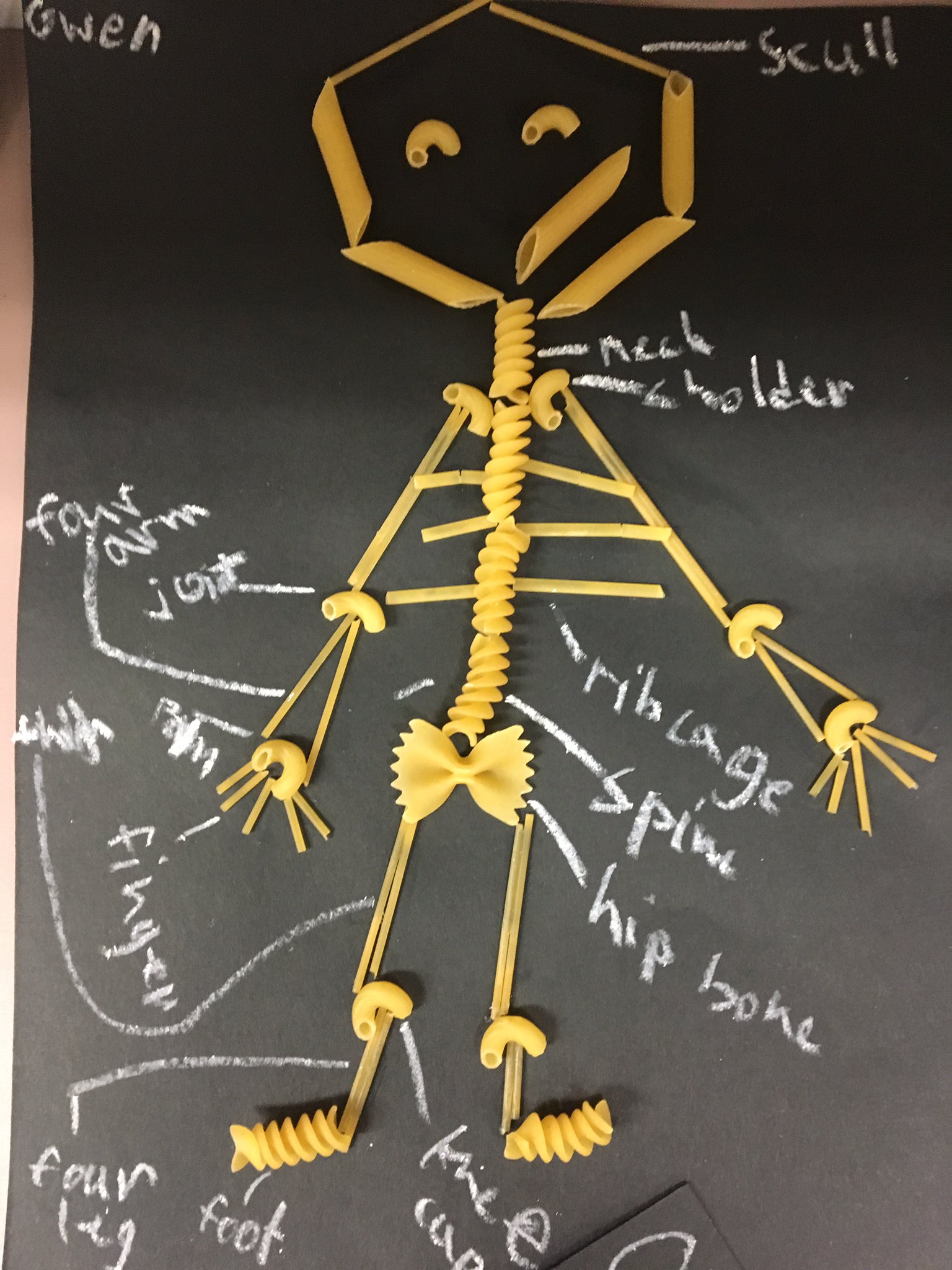 Esqueleto De Pasta Cascatelli Pasta By Sporkful Waterfall Pasta