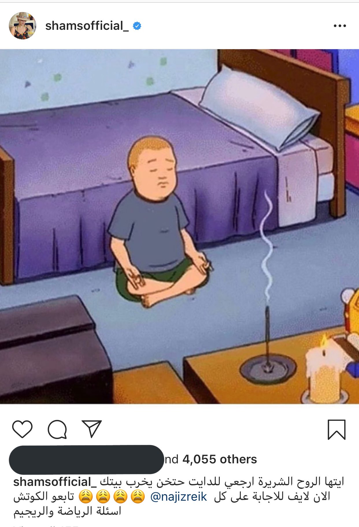 Bobby Hill Meme
