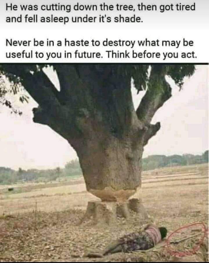 Tree Cutting Memes Memebase Tree Page 8 All Your Memes In Our