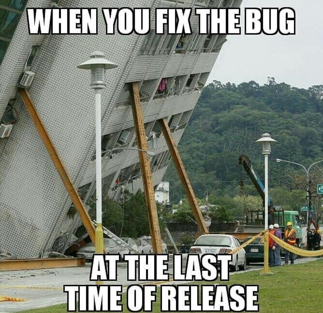 Software Bug Meme