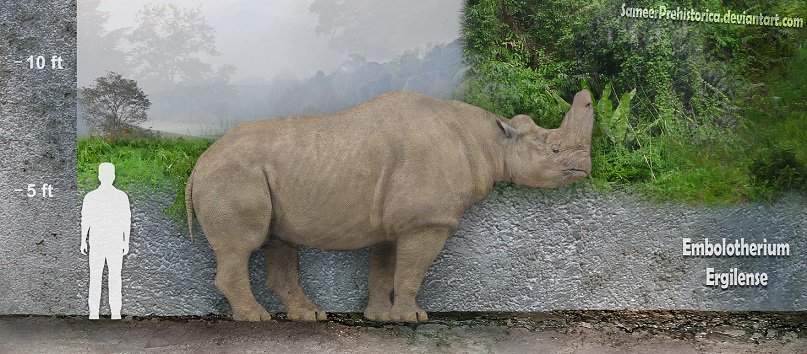 Embolotherium