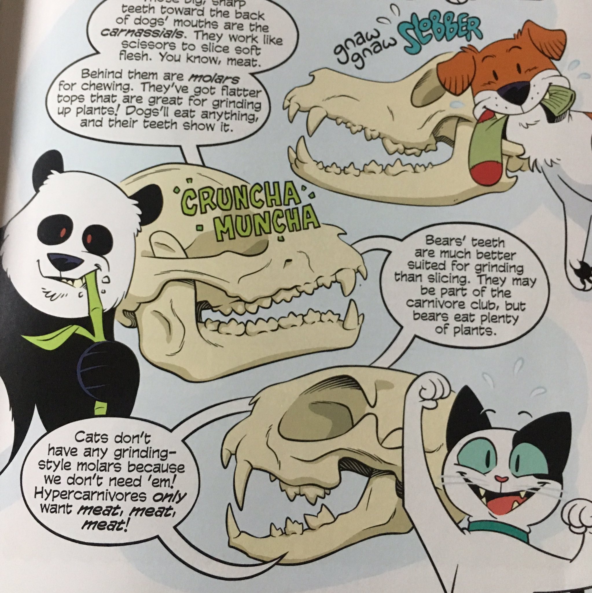 Funny Science Comics