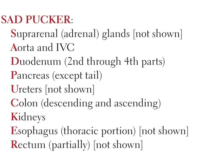 Retroperitoneal Organs
