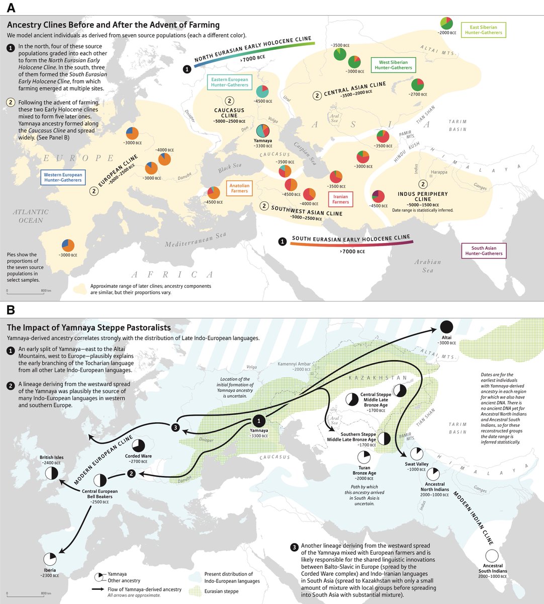 Formation of Human Populations in Central and South Asia | Eupedia Forum