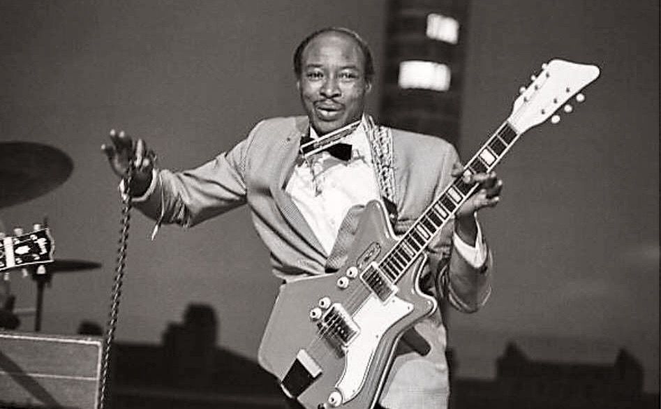 RONNIE WOOD CELEBRA AL GRAN BLUESMAN JIMMY REED | PyD