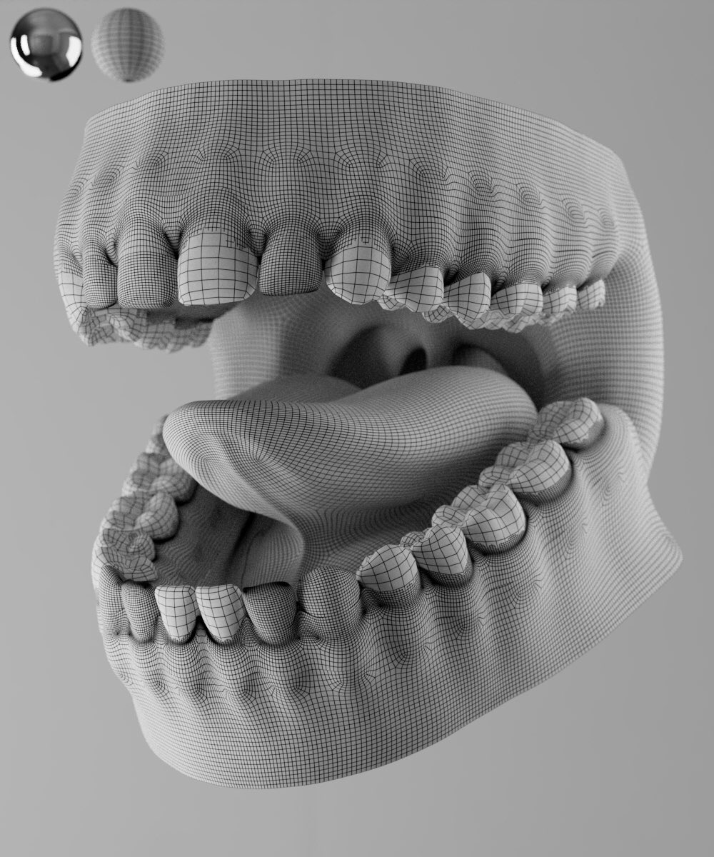 Teeth Gum Texture