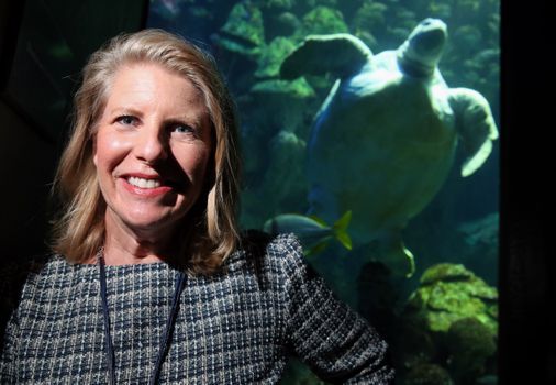 The Ocean Project on Twitter: "Did you hear? @NEAQ is taking a more active role in # ...