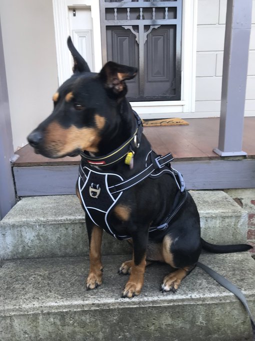 TW Pornstars - Xena. The most retweeted pictures and videos for all ...