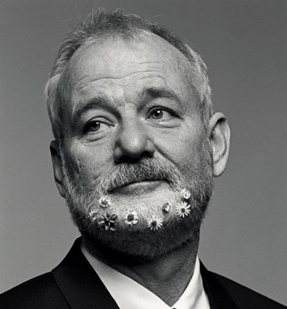Bill Murray's Birthday Celebration | HappyBday.to