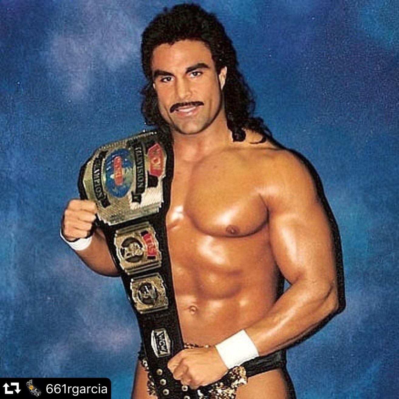 Wcw Television Championship WCW World Television Championship Replica