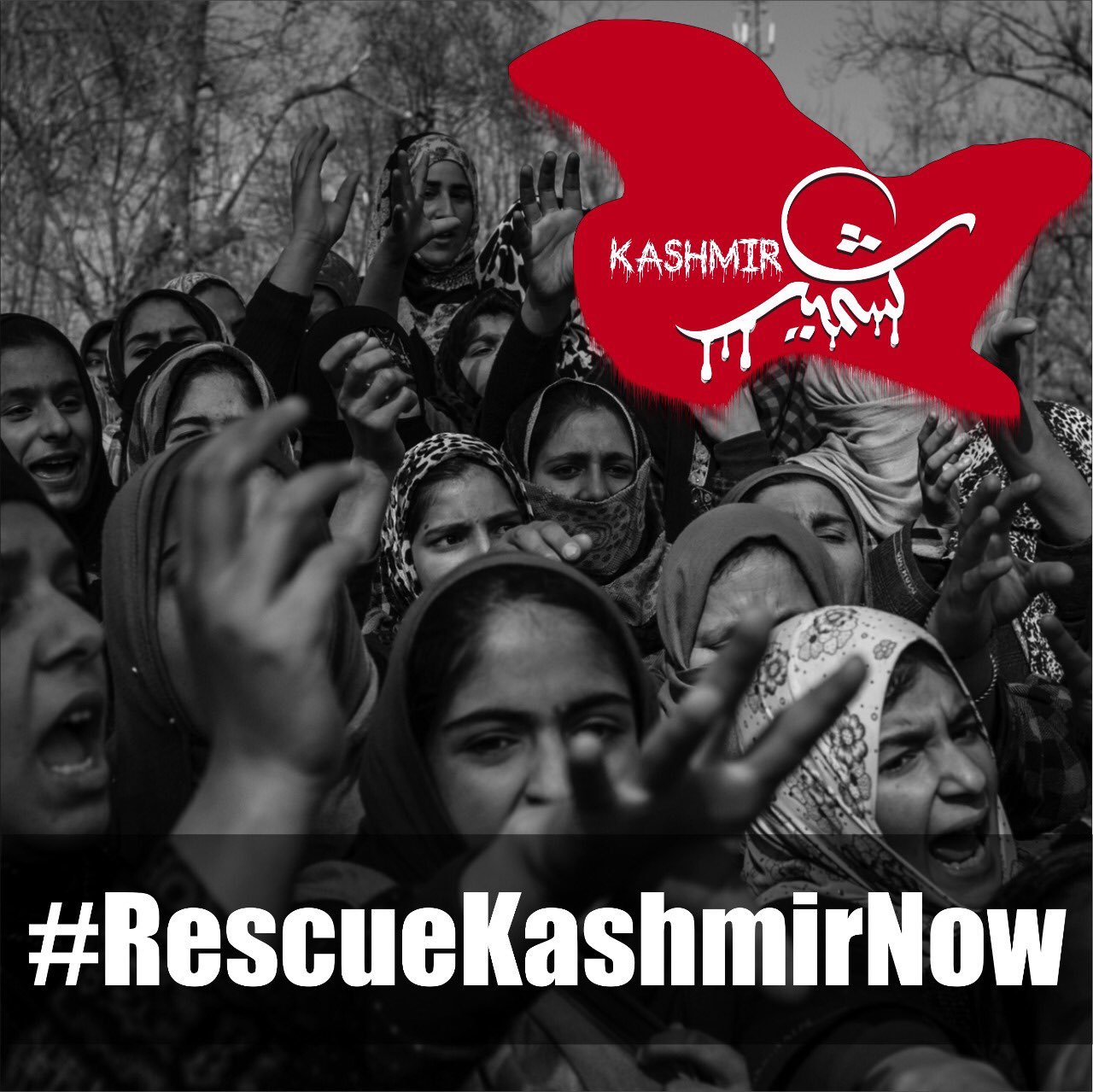 saima afroz malik ( Saima Iftikhar) on Twitter: "#RescueKashmirNow۔۔think of the Kashmiri ...