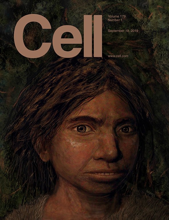 Denisovan Reconstruction