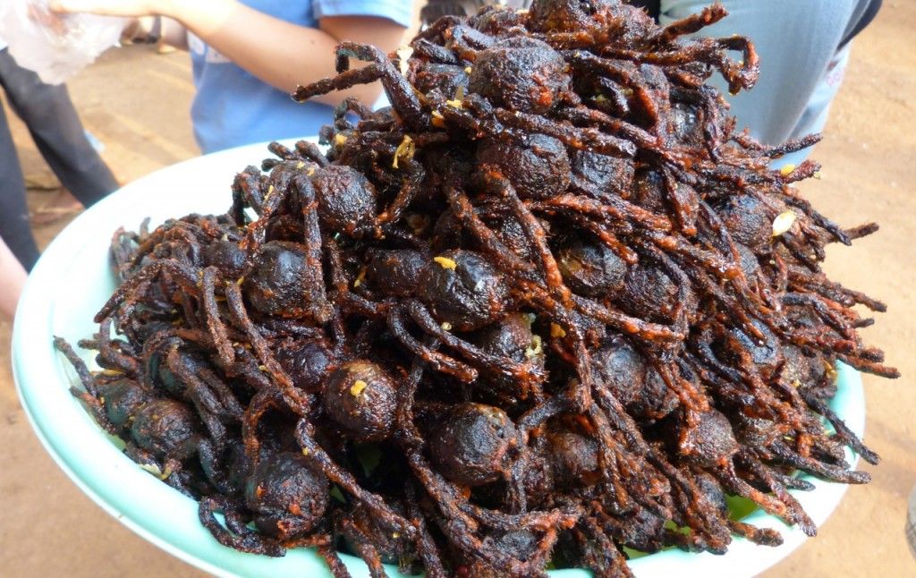 Cambodian Food Spiders