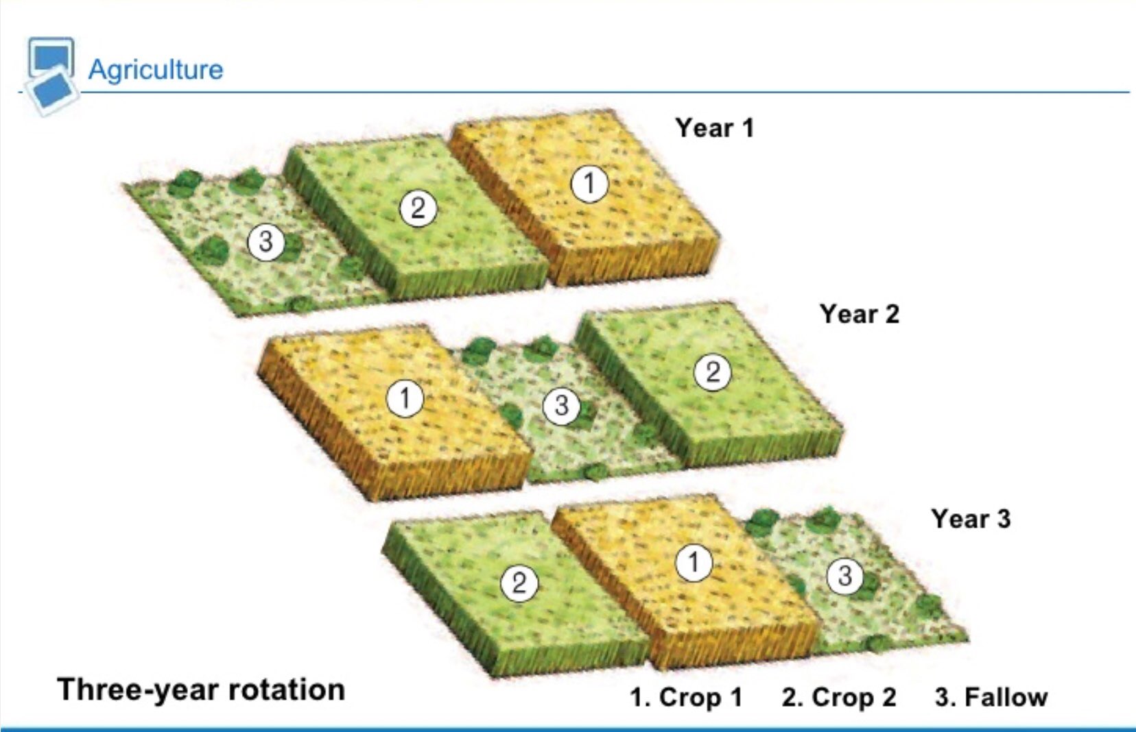 Medieval Crop Rotation System