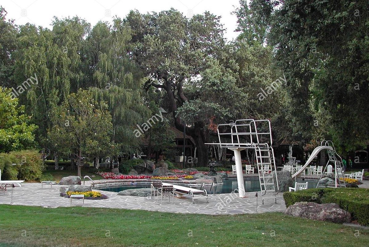Michael Jackson Swimming Pool