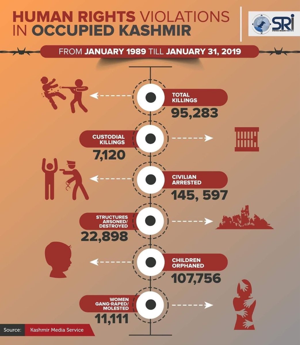 Human Rights Violations Statistics
