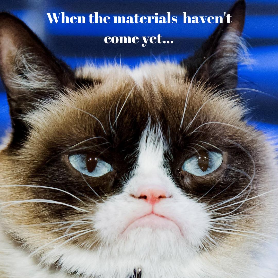 Grumpy Cat School Meme