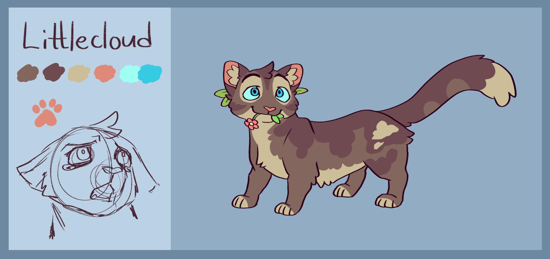 Littlecloud Warriors