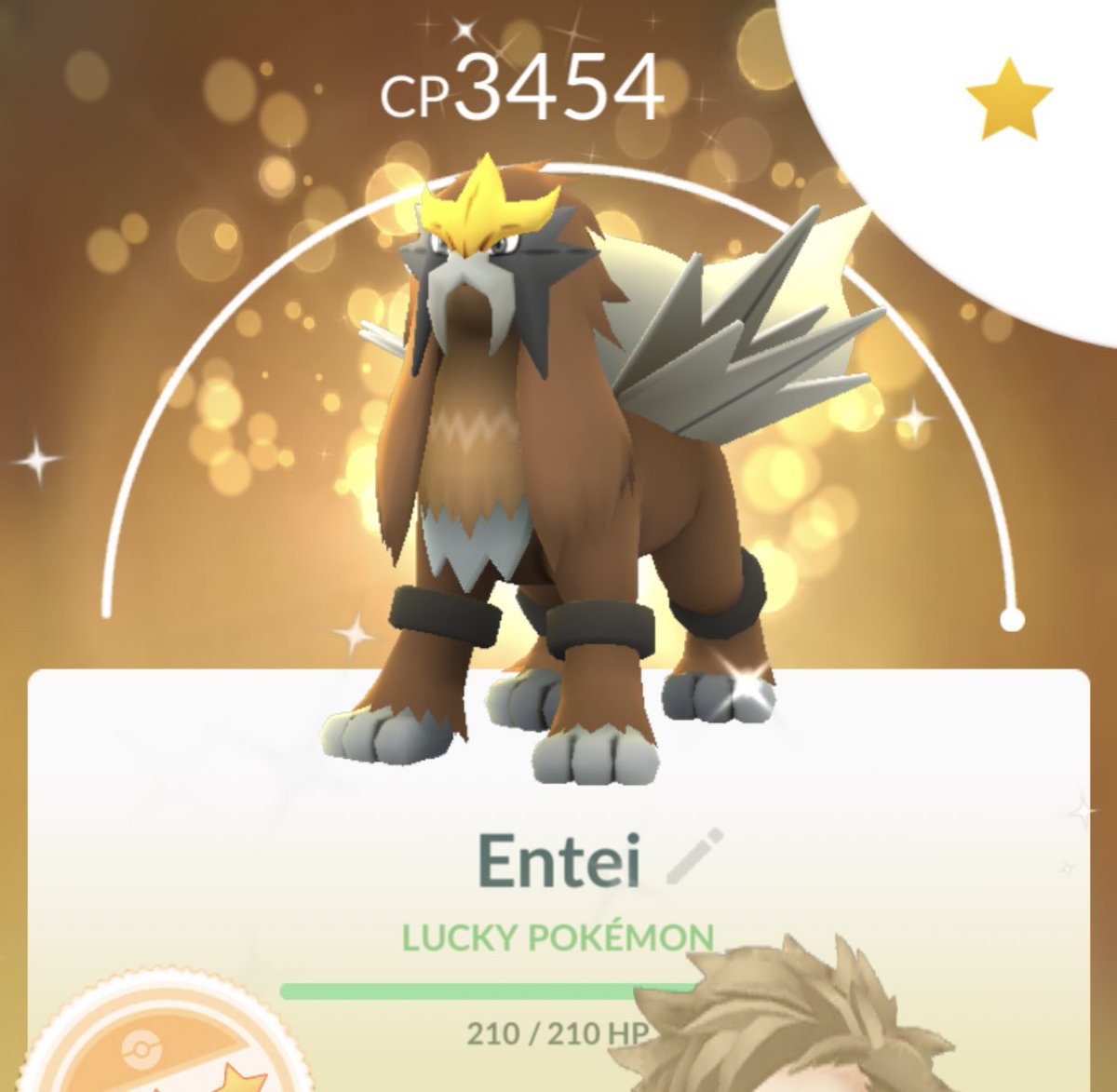 Shiny Entei Pokemon X