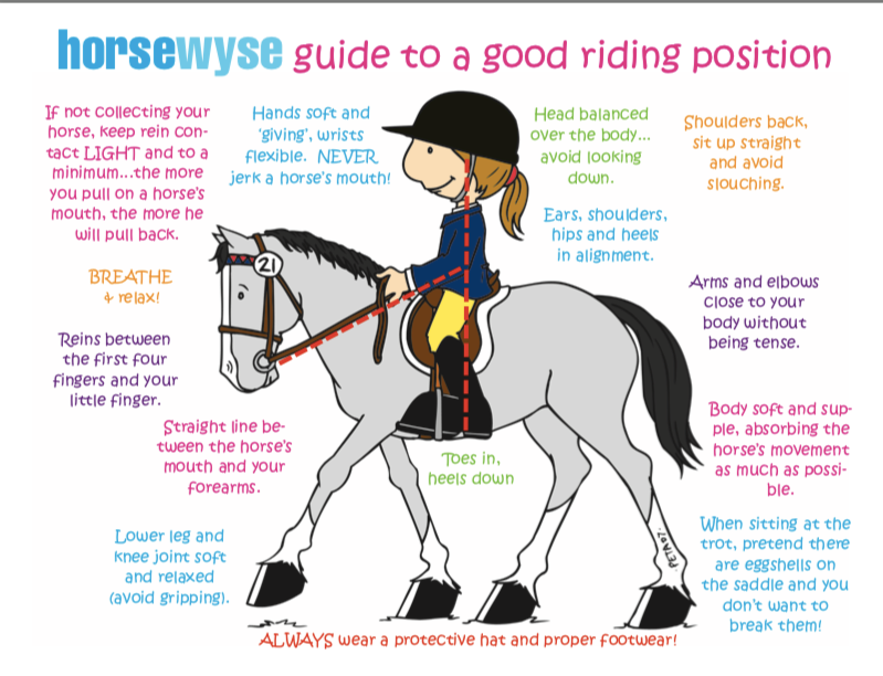 You Are Correct Horse