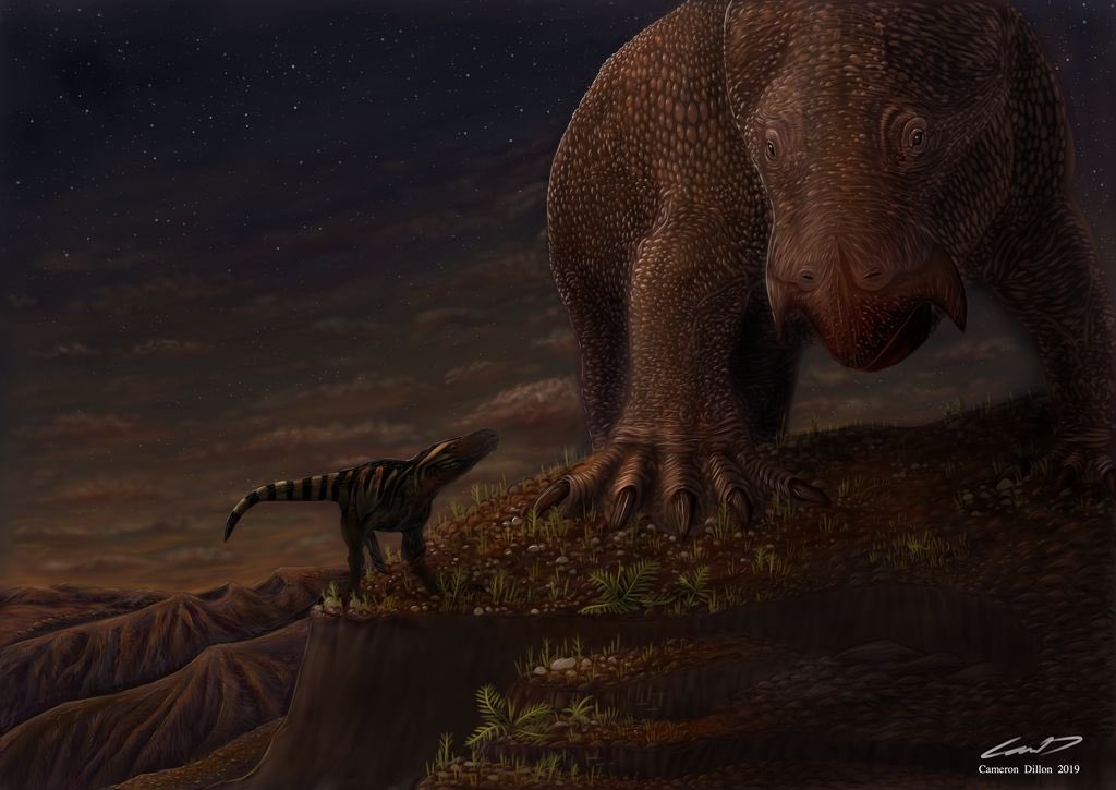 Cameron Dillon (@Cam_ornitho) さんのイラスト・マンガ作品まとめ (4 件) - Twoucan