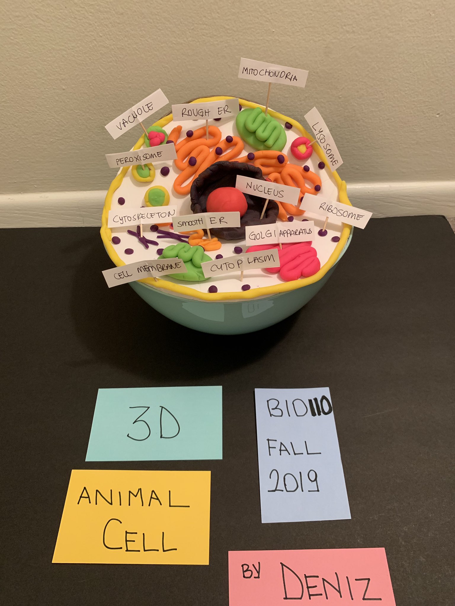 Lola Bunny on Twitter: "Extra Credit: 3D Eukaryotic CELL MODEL When ...