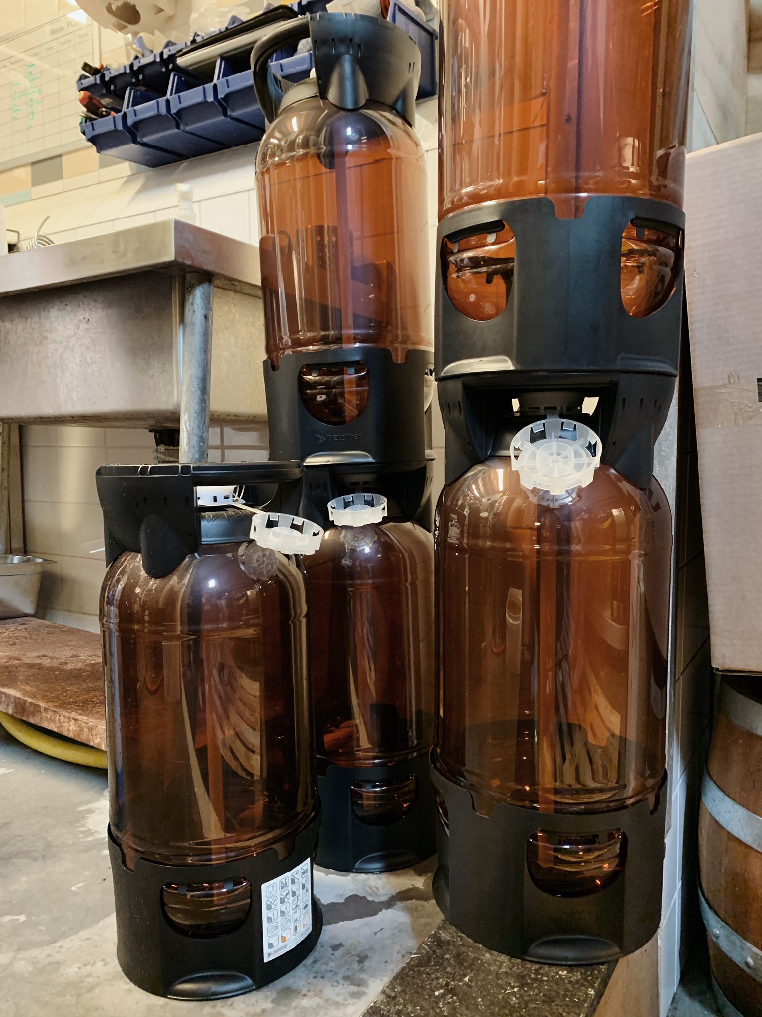 Petainer Hybrid Keg Collection Cheap | www.oceanproperty.co.th