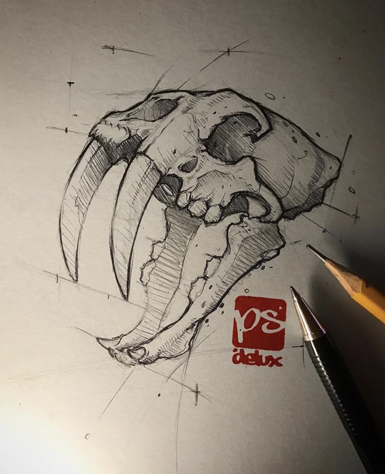 Tiger Skull Drawing