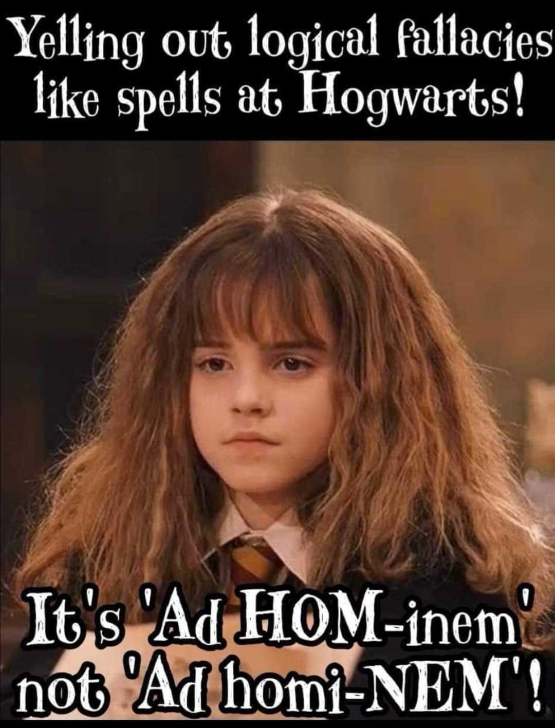 Logical Fallacies Memes Logical Fallacies Memes And Images Imgur