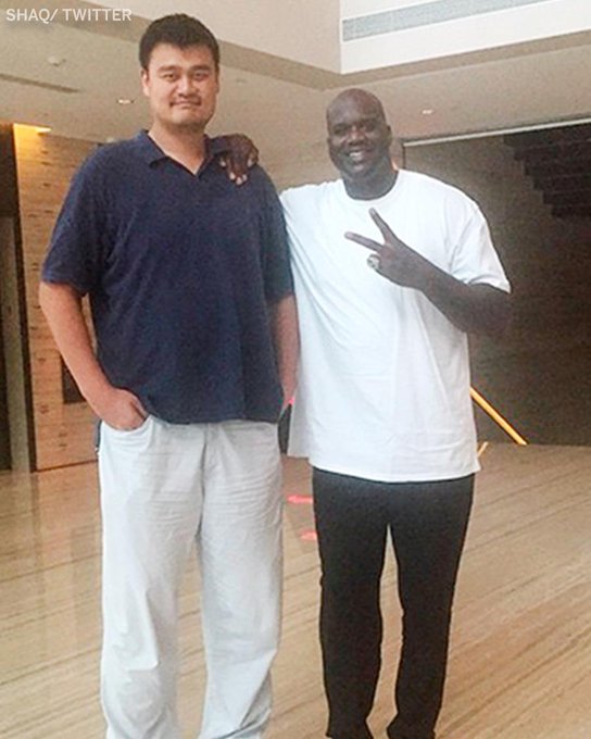 Yao Ming's Birthday Celebration | HappyBday.to