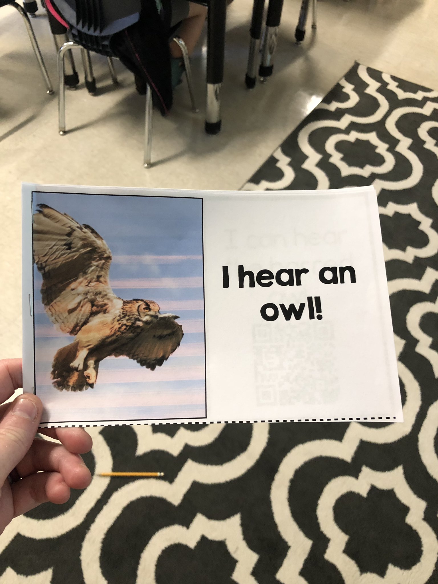 Taylor Hummell on Twitter: "I made each kid their own owl booklet to ...