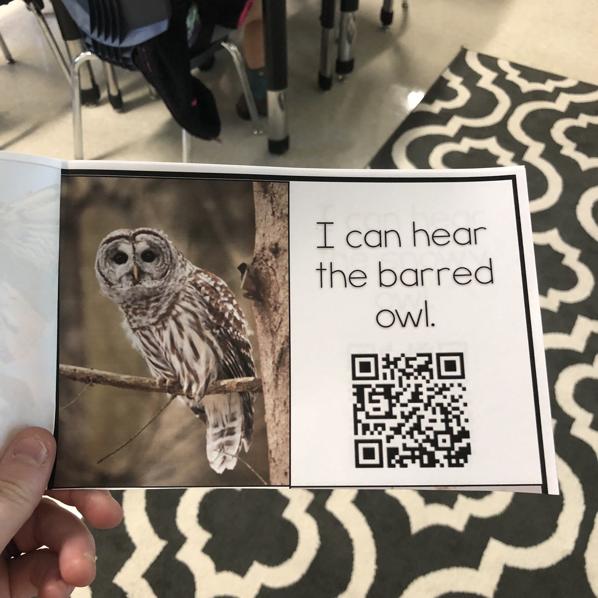 Taylor Hummell on Twitter: "I made each kid their own owl booklet to ...