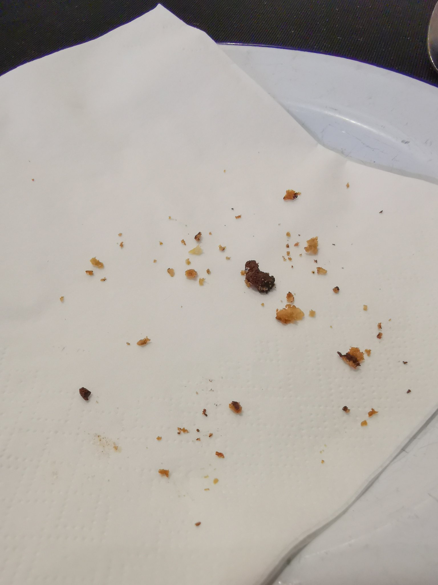 Pinworms On Toilet Paper